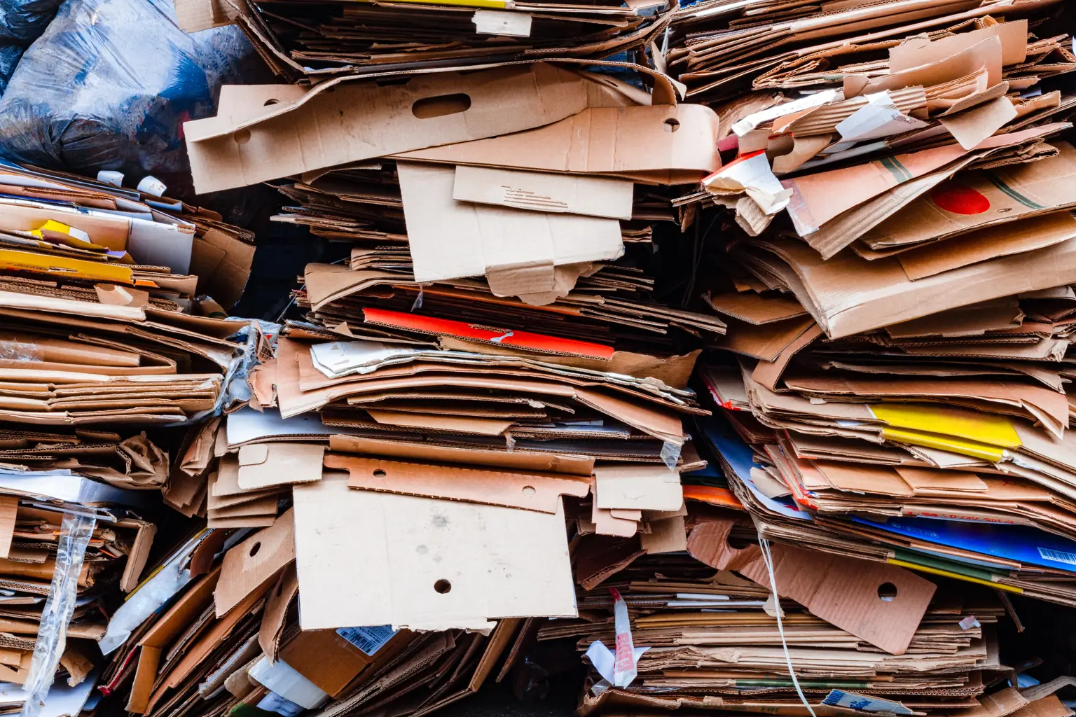 How to make money from cardboard waste - PHS Wastekit